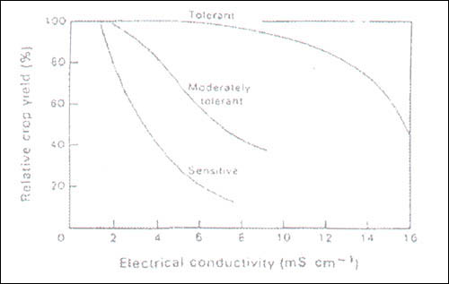 An Economic Analysis of Salinity Problems in the Mahaweli River System ...